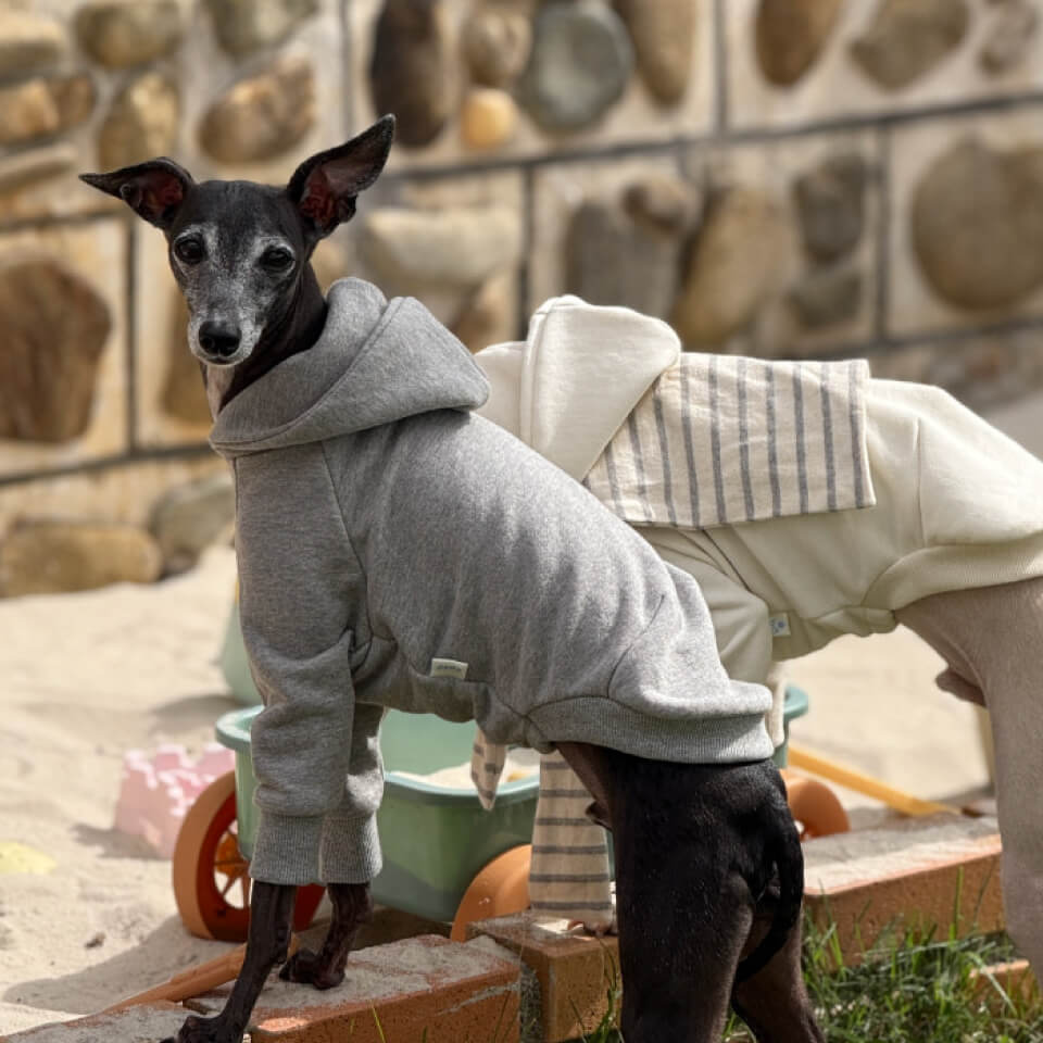 【SOSOHANZI(ソソハンジ)】ベーシックフード Tシャツ《全サイズ予約商品》 韓国イタグレ服 犬服 – hugmuk