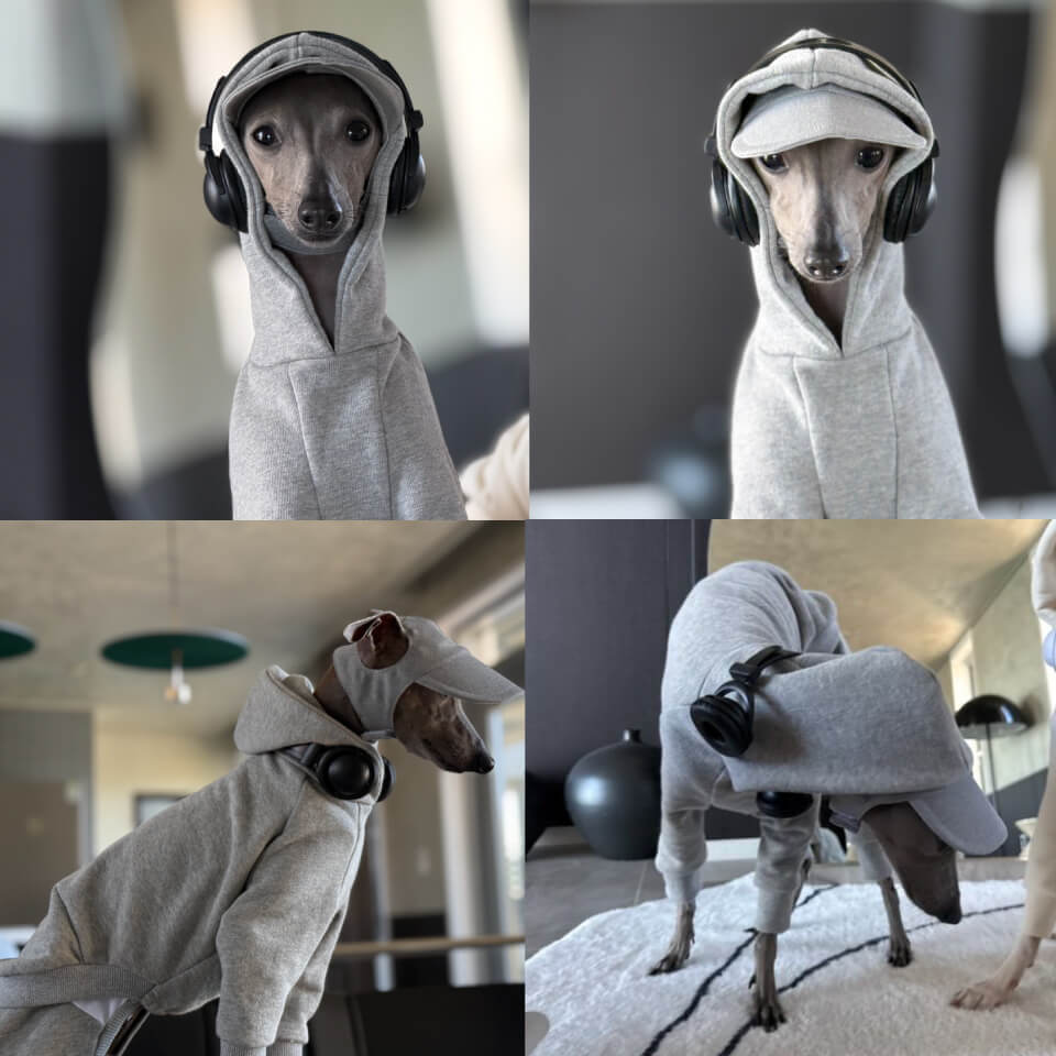 【SOSOHANZI(ソソハンジ)】グレーパンツ《全サイズ予約商品》 韓国イタグレ服 犬服 – hugmuk