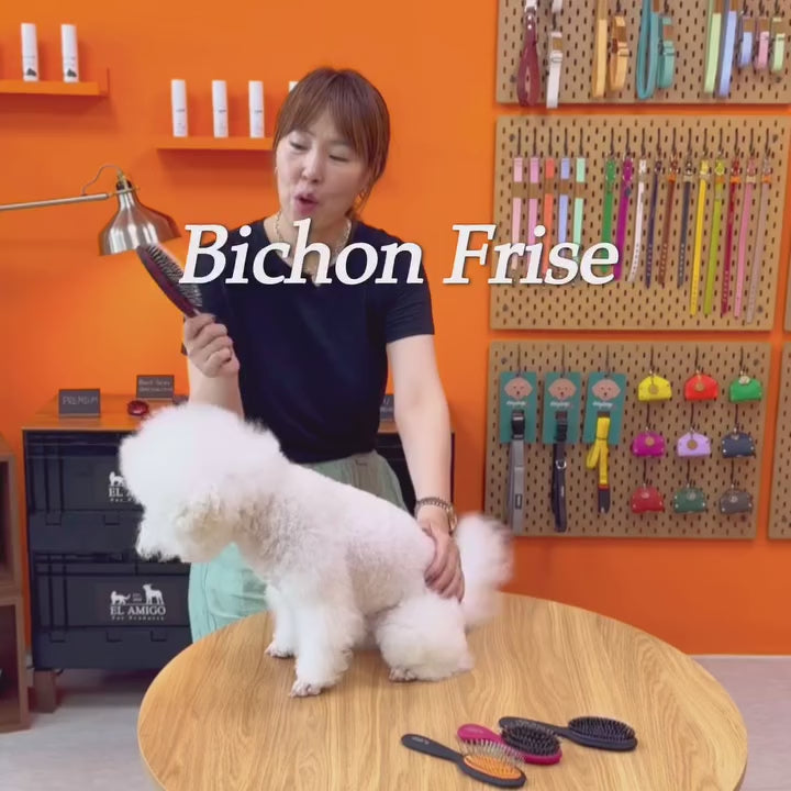 【EL AMIGO(エルアミーゴ)】ミニブラシ パールマゼンタ – hugmuk