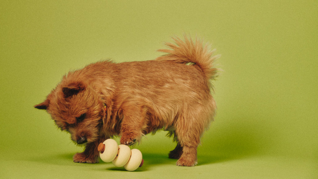 hugmuk（ハグムク） | ペットグッズのセレクトショップ